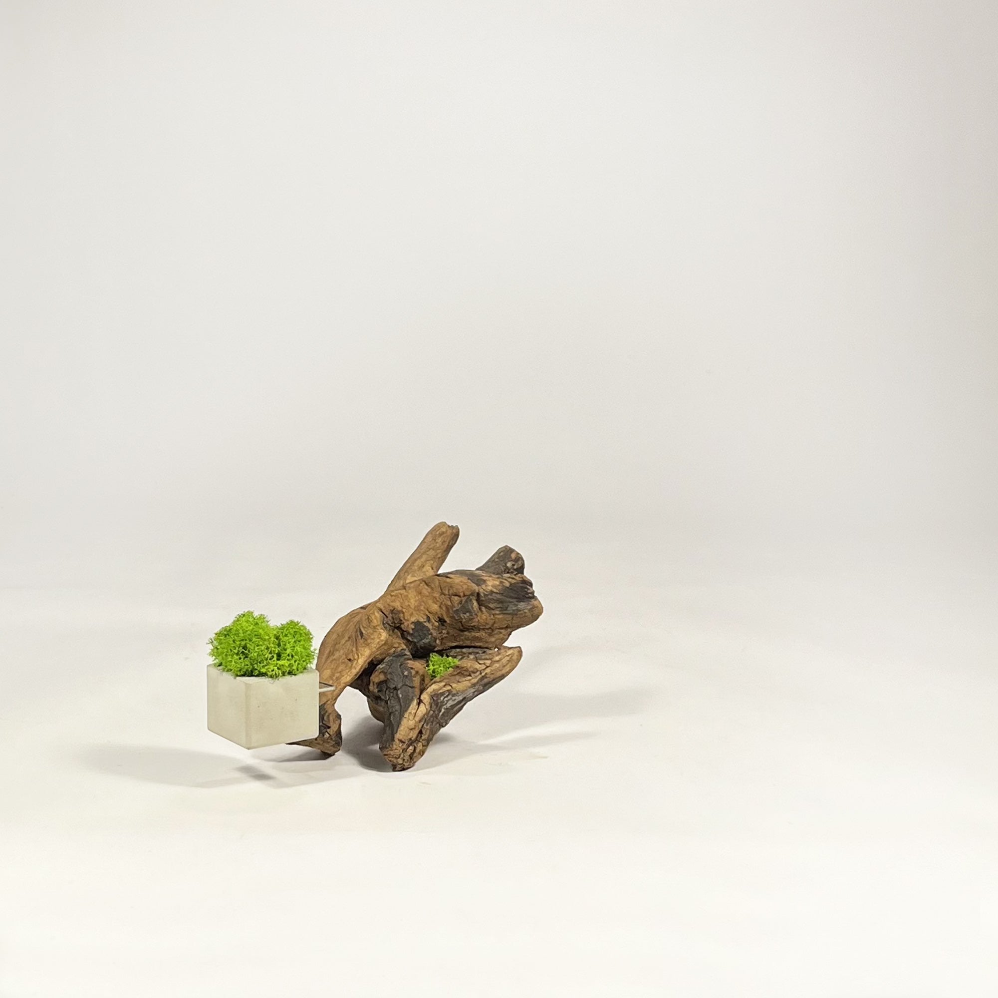 Disequilibrio in Equilibrio – Mellow Concrete