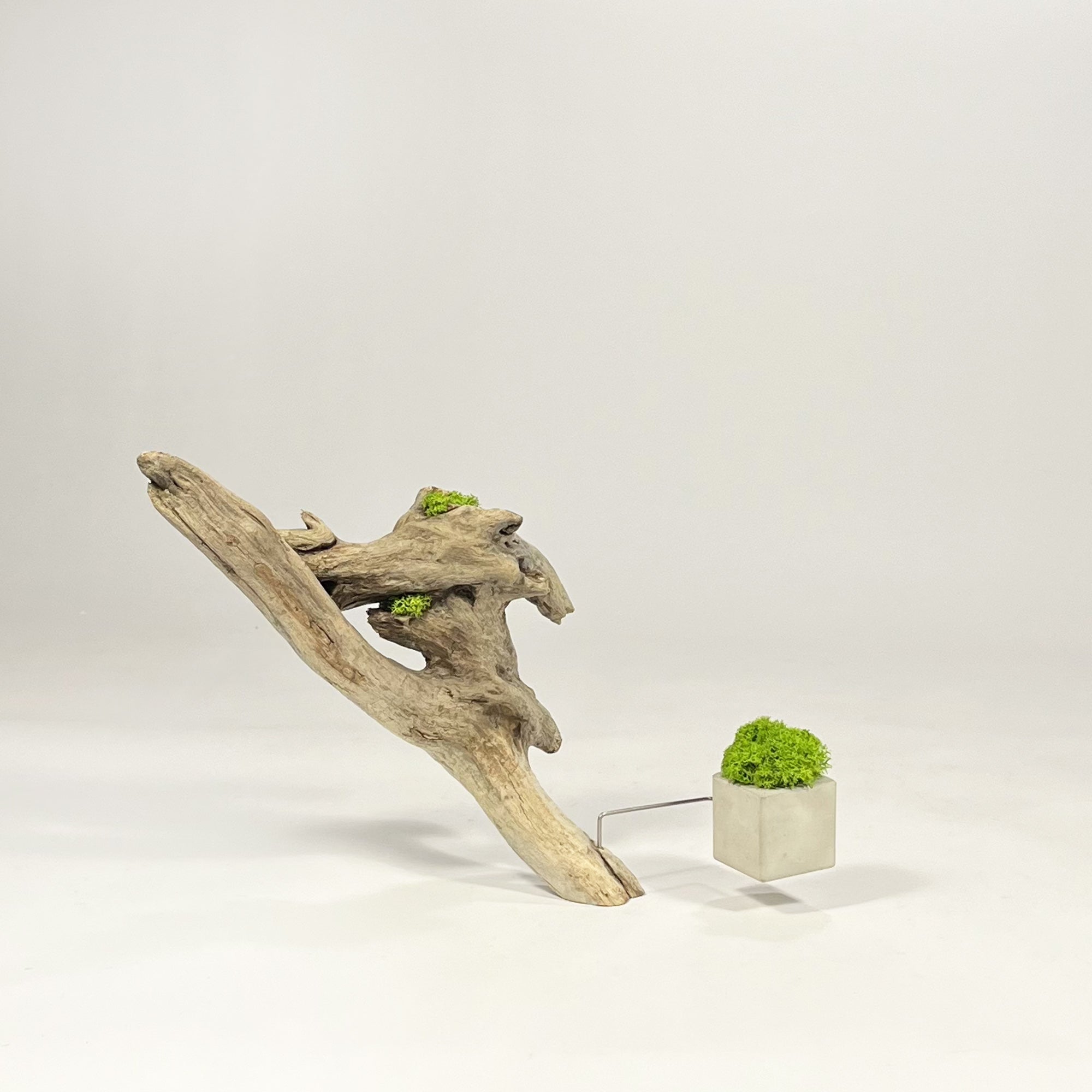 Disequilibrio in Equilibrio – Mellow Concrete